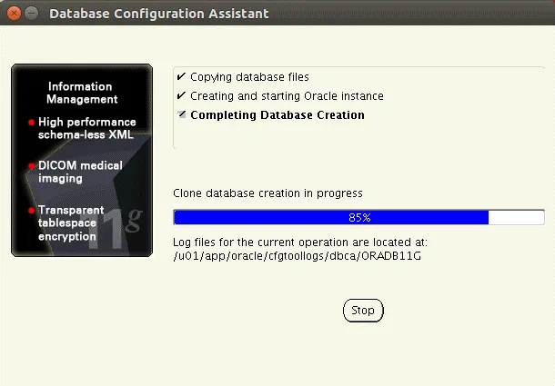 Installing Oracle on Ubuntu: Complete Waltkhrough