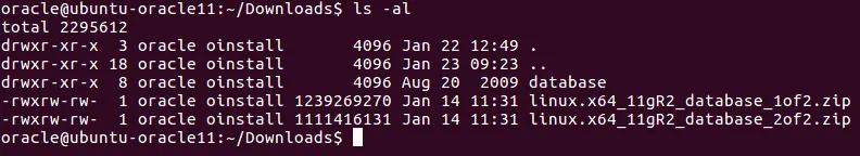 Installing Oracle on Ubuntu: Complete Waltkhrough