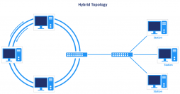 Explanation of Network Topology Types