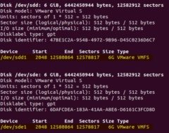 What Are the Features of a VMFS File System?