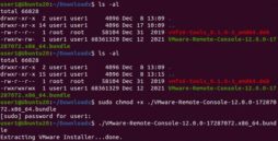How to Use VMware Remote Console in Linux and Windows