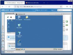 How to Use VMware Remote Console in Linux and Windows