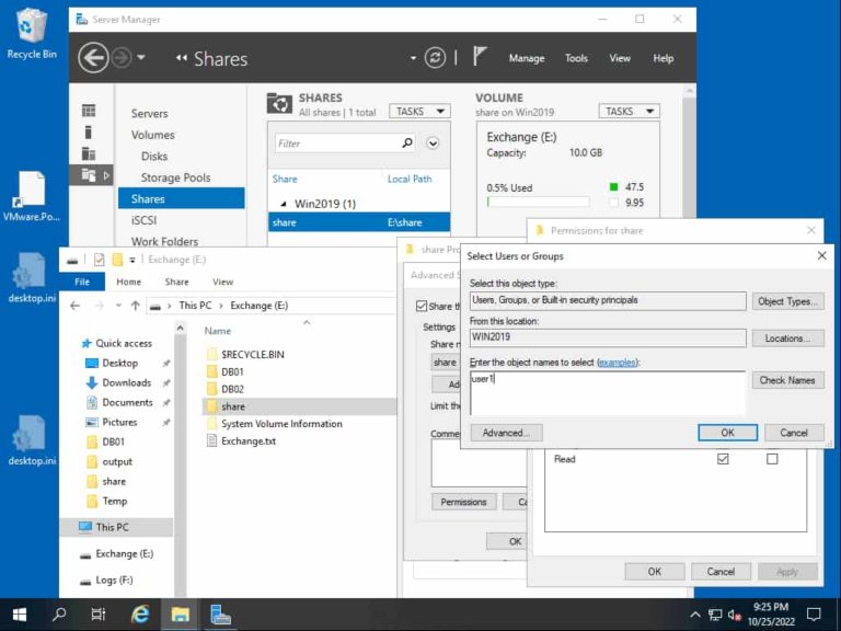 NAS vs File Server: A Comprehensive Comparison