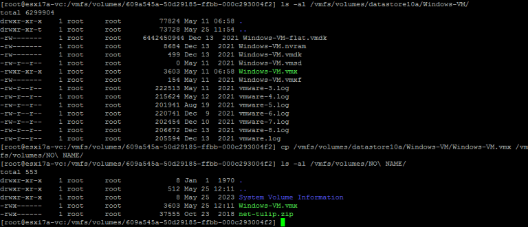 The Best Ways to Transfer Files from a VM to a Host